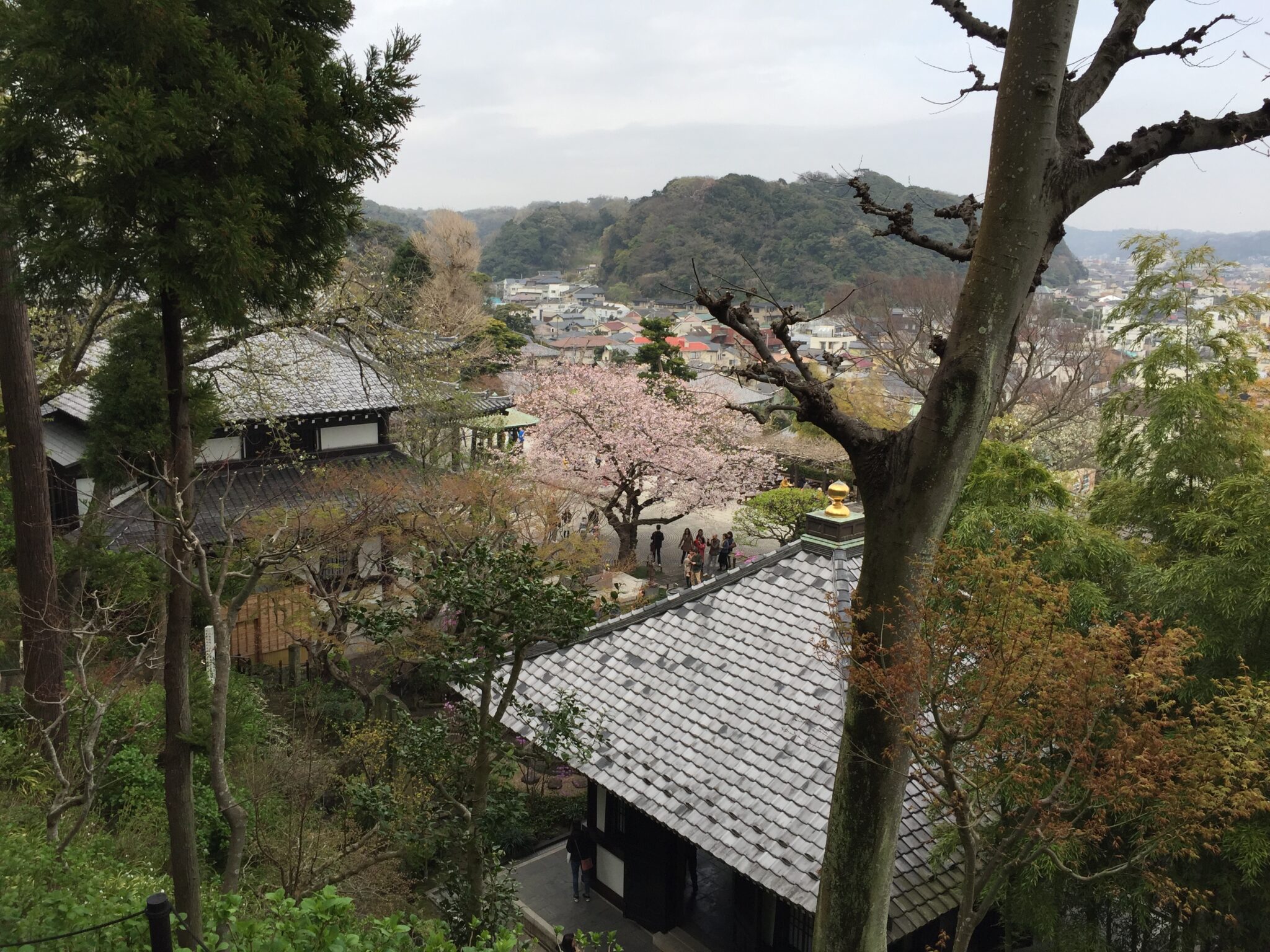 The charm of Kamakura in spring / 【公式】お宿 鎌倉楽庵ハナレ