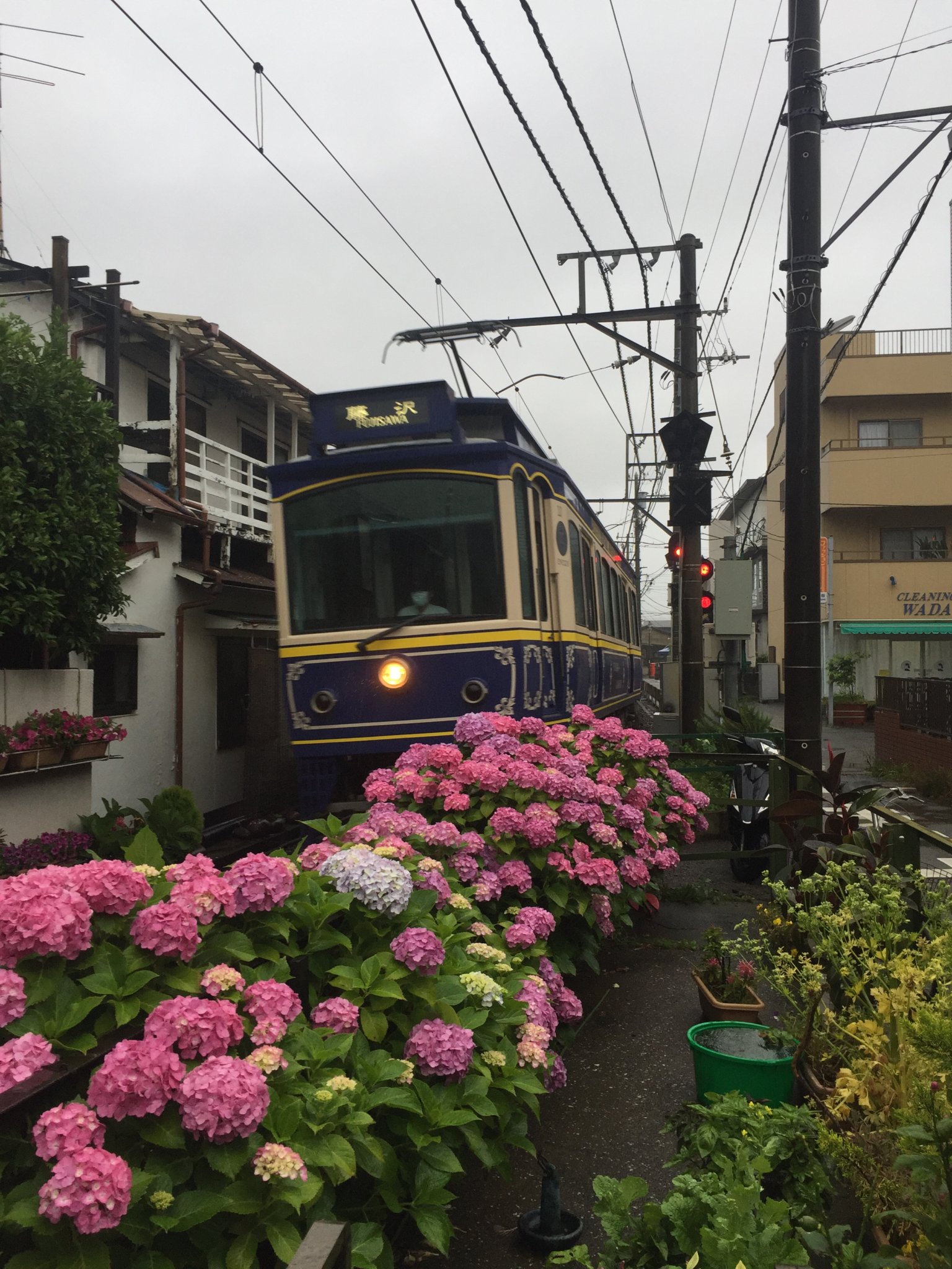 Kamakura Sightseeing (History, Nature, Scenic Views & Events)