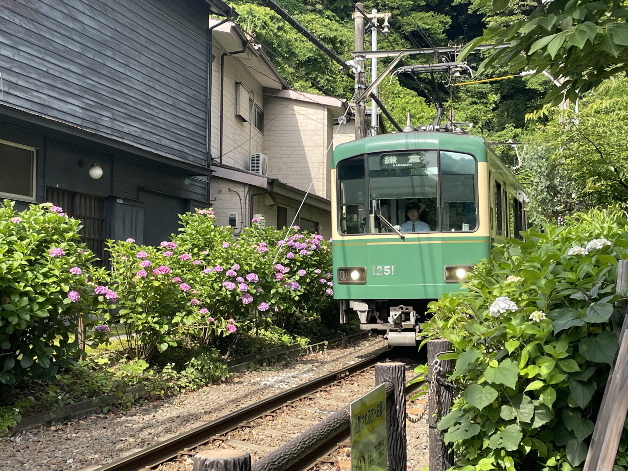 Kamakura Sightseeing (History, Nature, Scenic Views & Events)