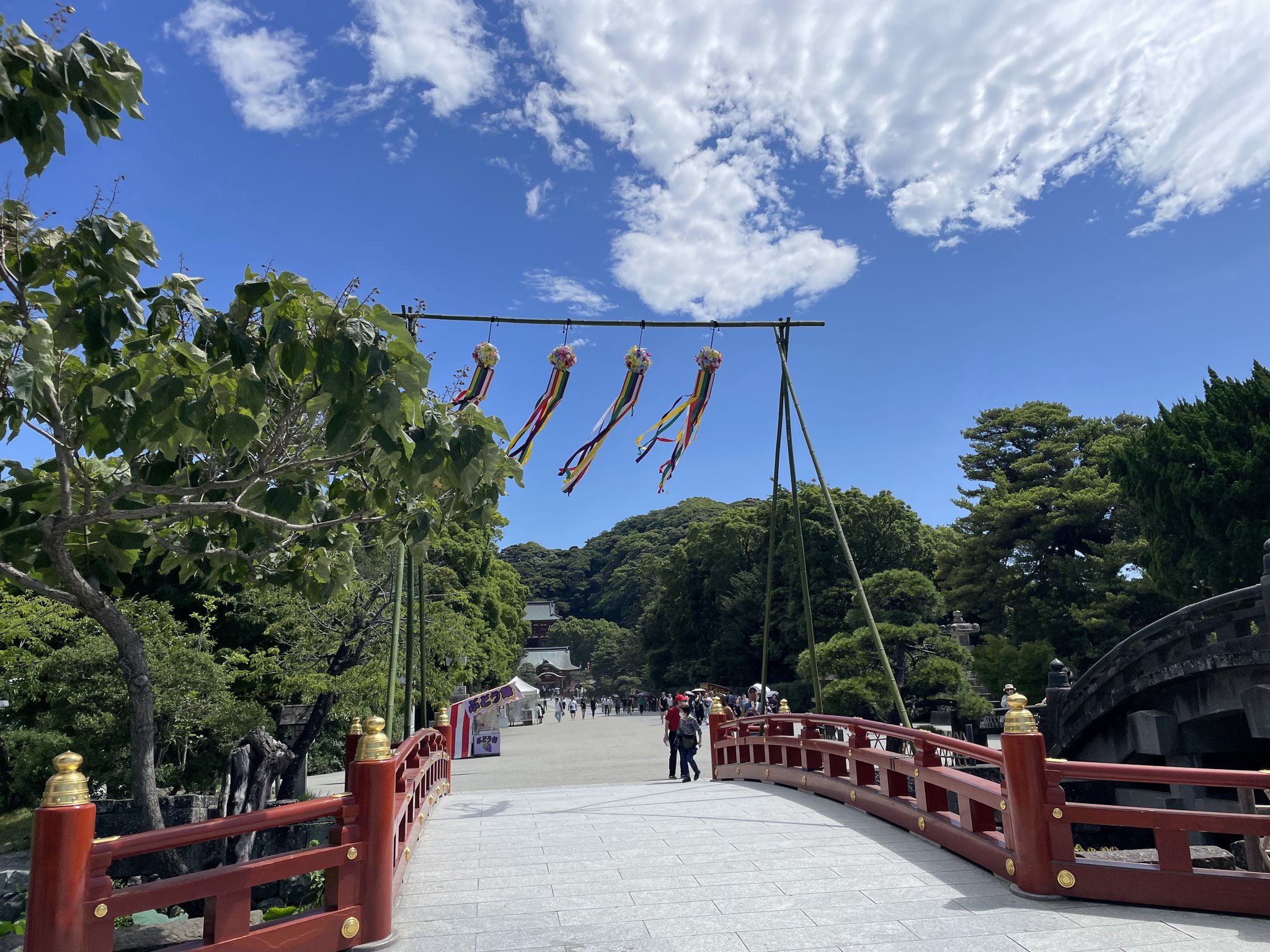 Kamakura Sightseeing (History, Nature, Scenic Views & Events)